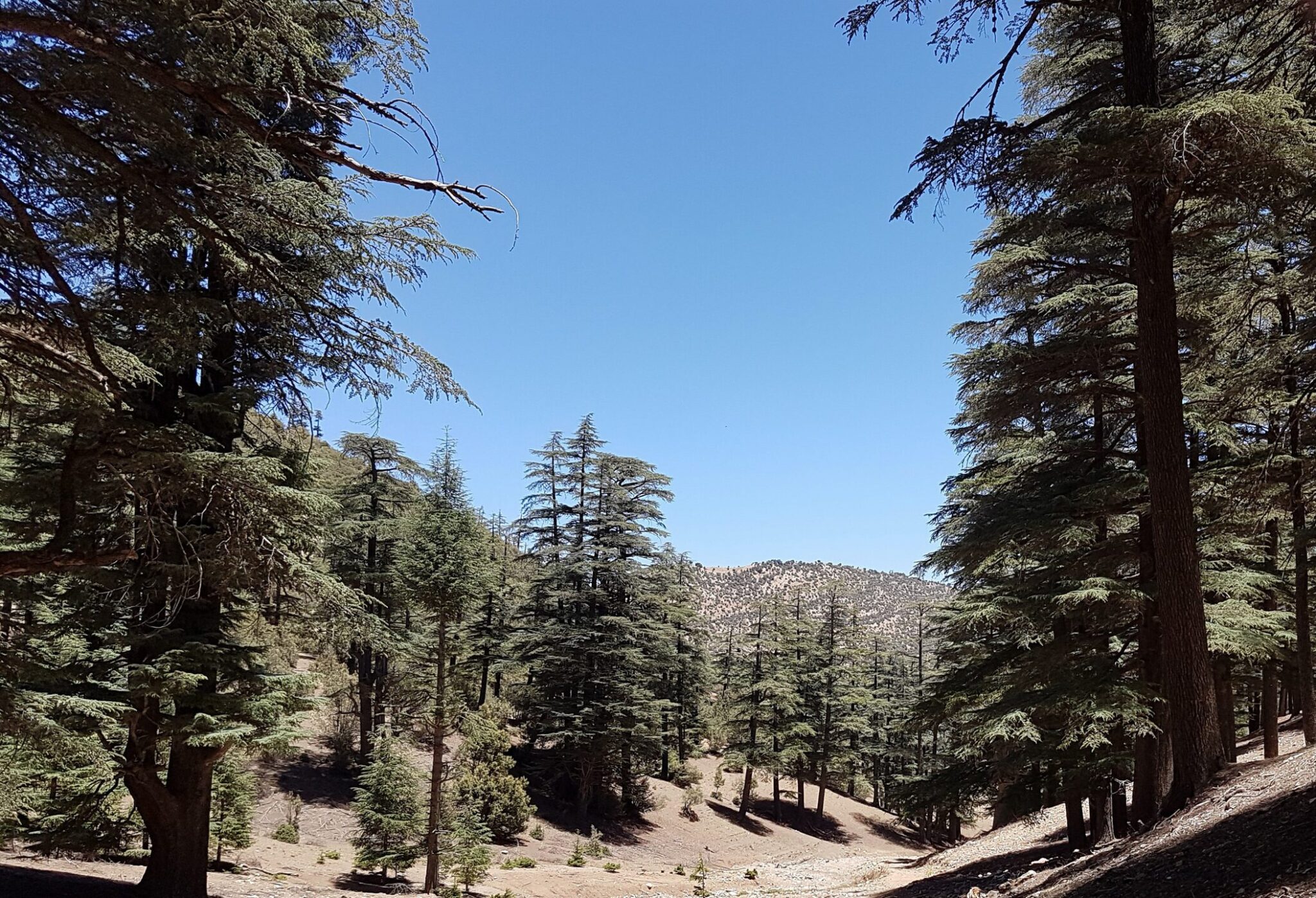 Explore Midelt Morocco: Between the Middle and High Atlas